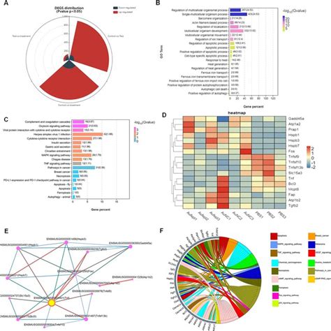 Rna Seq And Differentially Expressed Genes Degs Results Rna