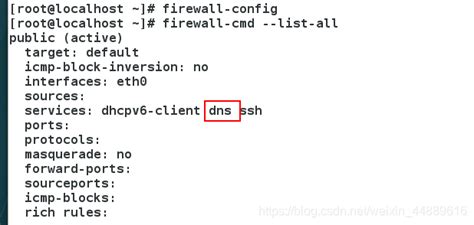 Dns的正向、反向、双向解析dns双向信任 Csdn博客