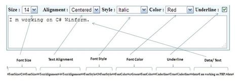 Crystal Reports Dynamic Text Format