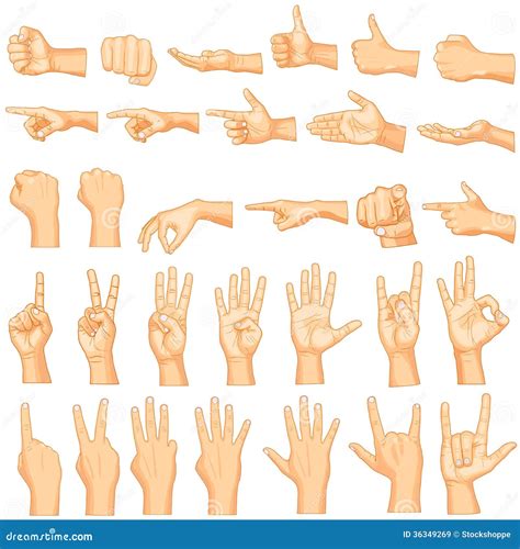 Hand Gestures Stock Vector Illustration Of Good Greeting 36349269