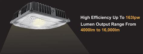 Selectable Canopy Light