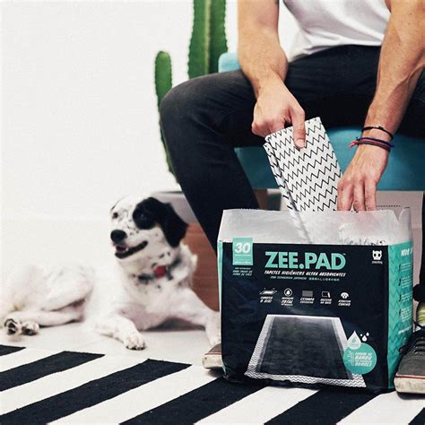 Conoce Los Beneficios De La Zee Pad Cannae Corp