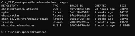 Connect To Databricks Using Broadsea Deployment Cdm Ohdsi Forums