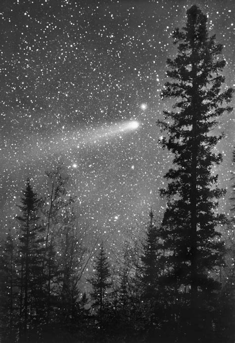 Astro Bob Halley S Comet Reaches The End Of Its Leash Duluth News
