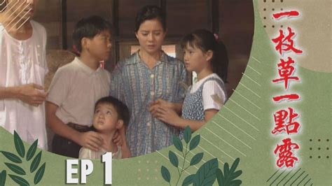 一枝草一點露 EP1 YouTube