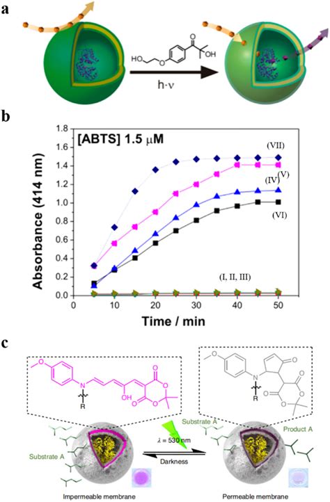 A Schematic Representation Of Uv Responsive Nanoreactors B Hrp