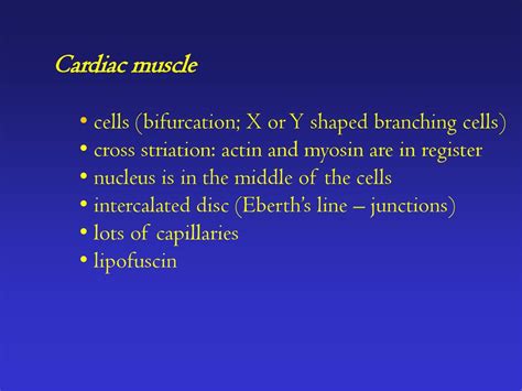 Muscle Muscle Tissue Tendons Ppt Download