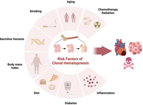 Regulators Of Clonal Hematopoiesis And Physiological Consequences Of