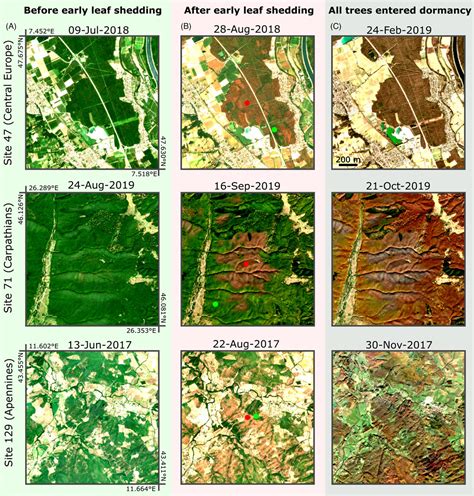 Remote Sensing In Ecology And Conservation Vol No