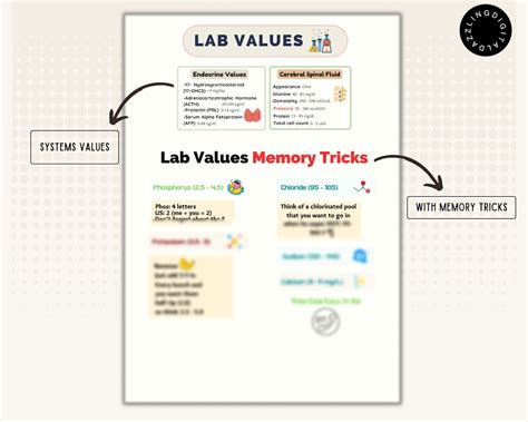 Lab Value Template Nursing Cheat Sheet Lab Values Lab Value Nursing Lab Value Cheat