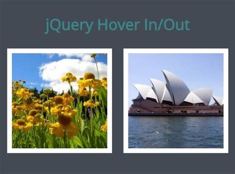 Basic Image Rollover Effect With Jquery And Html Hover In Out Free Jquery Plugins