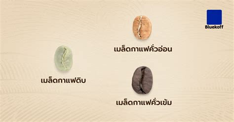 จริงหรือไม่ กาแฟคั่วอ่อนมีคาเฟอีนมากกว่ากาแฟคั่วเข้ม Bluekoff Good