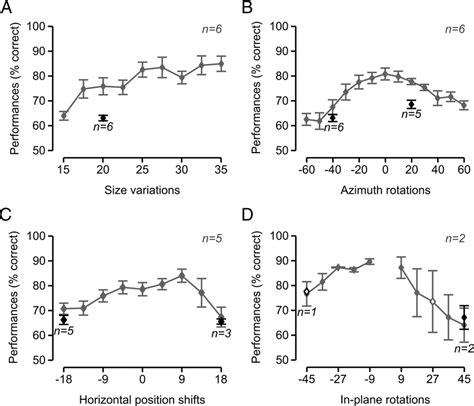 Recognition Performance Of The Transformed Object Views Rat Group