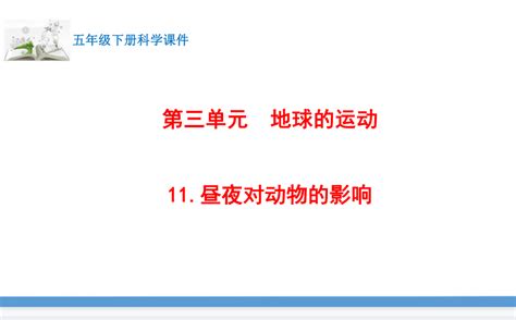 科学 苏教版2017版科学五年级下册11昼夜对动物的影响 课件共24张ppt 课件下载