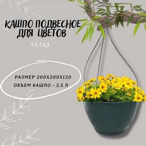 Кашпо для цветов Горшок цветочный подвесной ЛИЛИЯ 2,5 л ОПВЛ 2,5 ЗЕЛ ...
