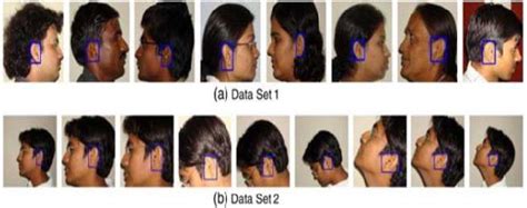Figure 1 From Existing Approaches In Ear Biometrics Semantic Scholar