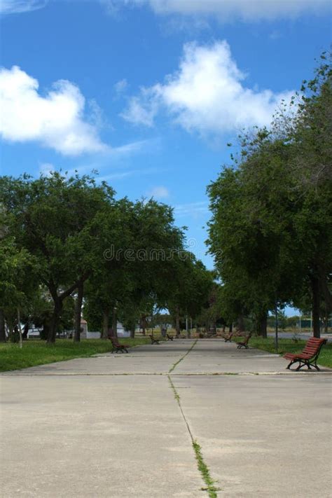 Wooded Park For Walking Or Runing In The Open Air Stock Image Image