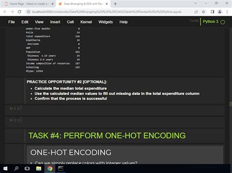 practical data wrangling with pandas