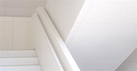 In Silico Biolabs Llc On Linkedin The Impact Of Flux Balance Analysis On Biomanufacturing In