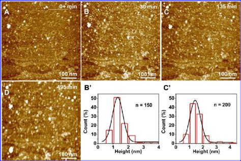 Modulation Of Ca−p Nucleation By Citrate A−d A Sequence Of In Situ