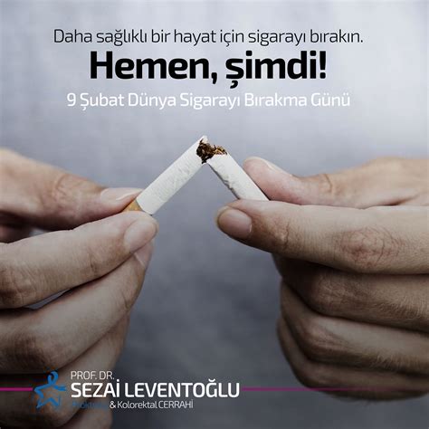 Sigara Kalın Bağırsak Prof Dr Sezai Leventoğlu Facebook