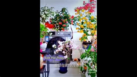 林淑娟🎤爱人的婚礼🎼👩🤔 Youtube