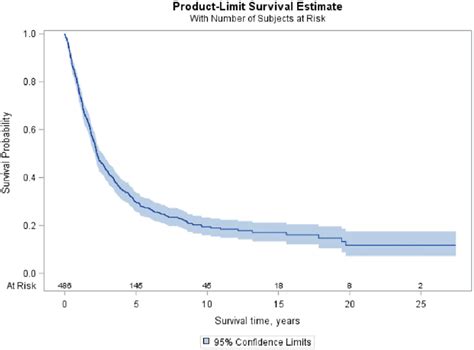 Plot Of The Survivor Function For The Chicago And Detroit Metropolitan