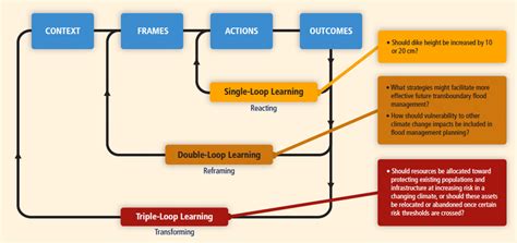 Learning Loops Pathways Outcomes And Dynamics Of Single Double
