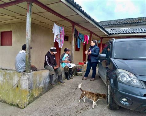 Gobierno Adopta Medidas Para La Movilización De Animales De Producción