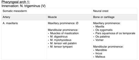Topic F3 The Development Of The Pharynx And Splanchnocranium