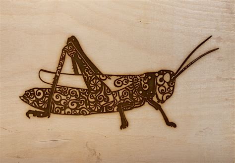 Grasshopper Svg Grasshopper Mandala Svg Laser Cut File File Etsy