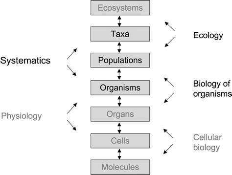 Different Levels Of Biodiversity Research Download Scientific Diagram
