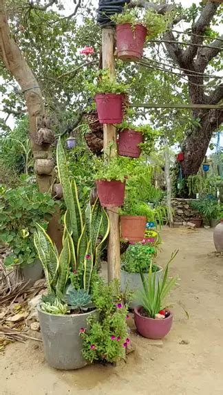 Lilly Gaddis And Lilly Snyder Leak Discover