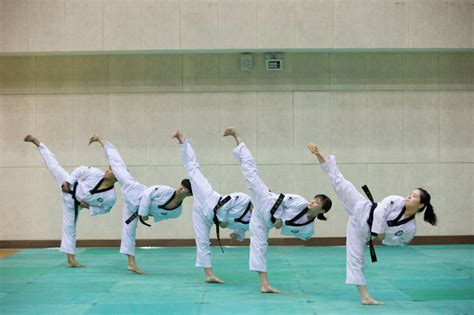 충북보과대 태권도외교과 10년연속 수시1차 신입생 100 등록 노컷뉴스