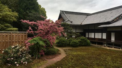 随心院ずいしんいんの見どころと行き方京都のお寺 Japan s Travel Manual