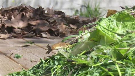 El compost una forma de convertir los residuos orgánicos en abono natural HAZTE ECO