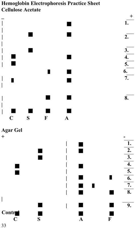 Hemoglobin Electrophoresis Practice Sheet Cellulose Acetate C S F A Agar Gel 1 2 3 4 5
