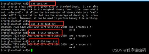 linux下c c 实现以十六进制的形式显示命令（xxd） xxd命令 csdn博客
