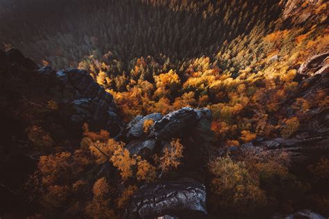 Wallpaper Sunlight Landscape Rock Reflection Evening Tree