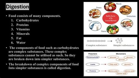 Ppt For Cbse Class 7 Science Unit 2 Sciencepdf