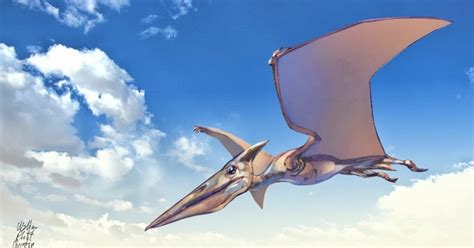 The Scifi Papers Pteranodon Sketch