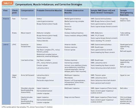 Nasm Over And Under Active Muscles Rnasmstudy