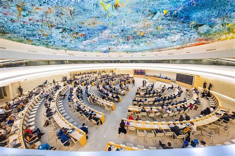 Harm Reduction International On Linkedin 57th Human Rights Council