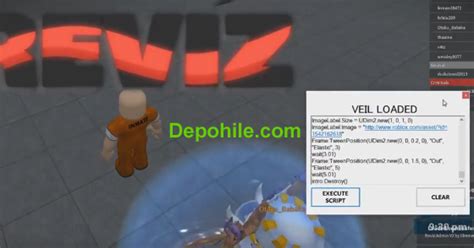Roblox Veil Exploit Script