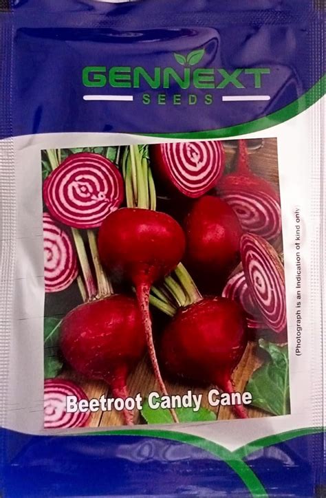 Garden Winter Beetroot Red Candy Cane Seed Pack Of 2