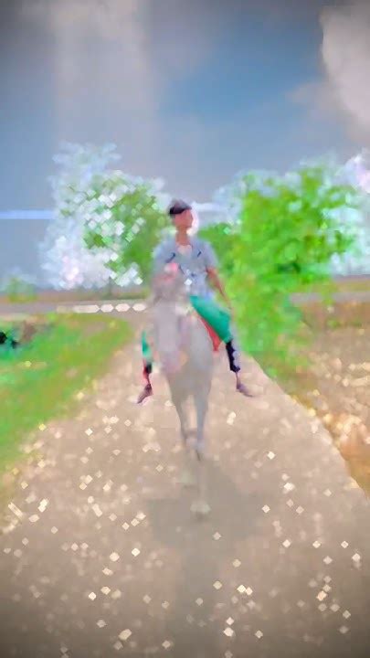 Bhojpuri Ashishyadavnewsong Song Ashishyadavkanewsong Love