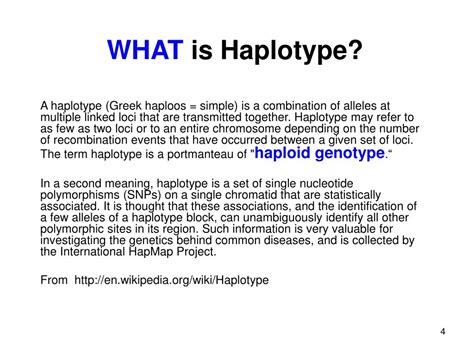 ppt haplotyping algorithm powerpoint presentation free download id