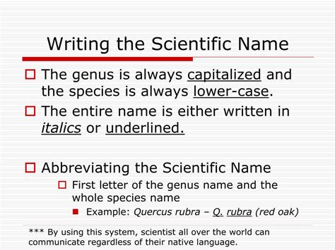 Ppt Classification Notes Powerpoint Presentation Free Download Id