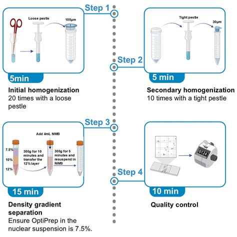 Cell Press Star Protocols