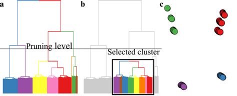 Clustering Dendrogram For Hierarchical Clustering Pruning Level Is